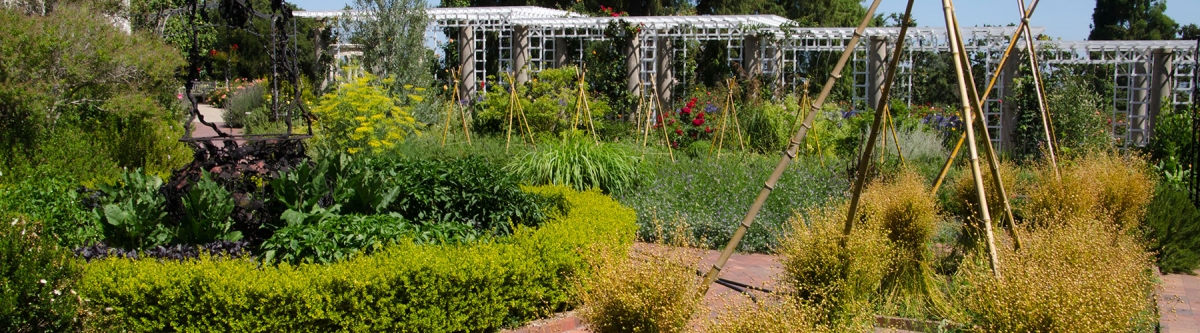 Herb Garden | The Huntington